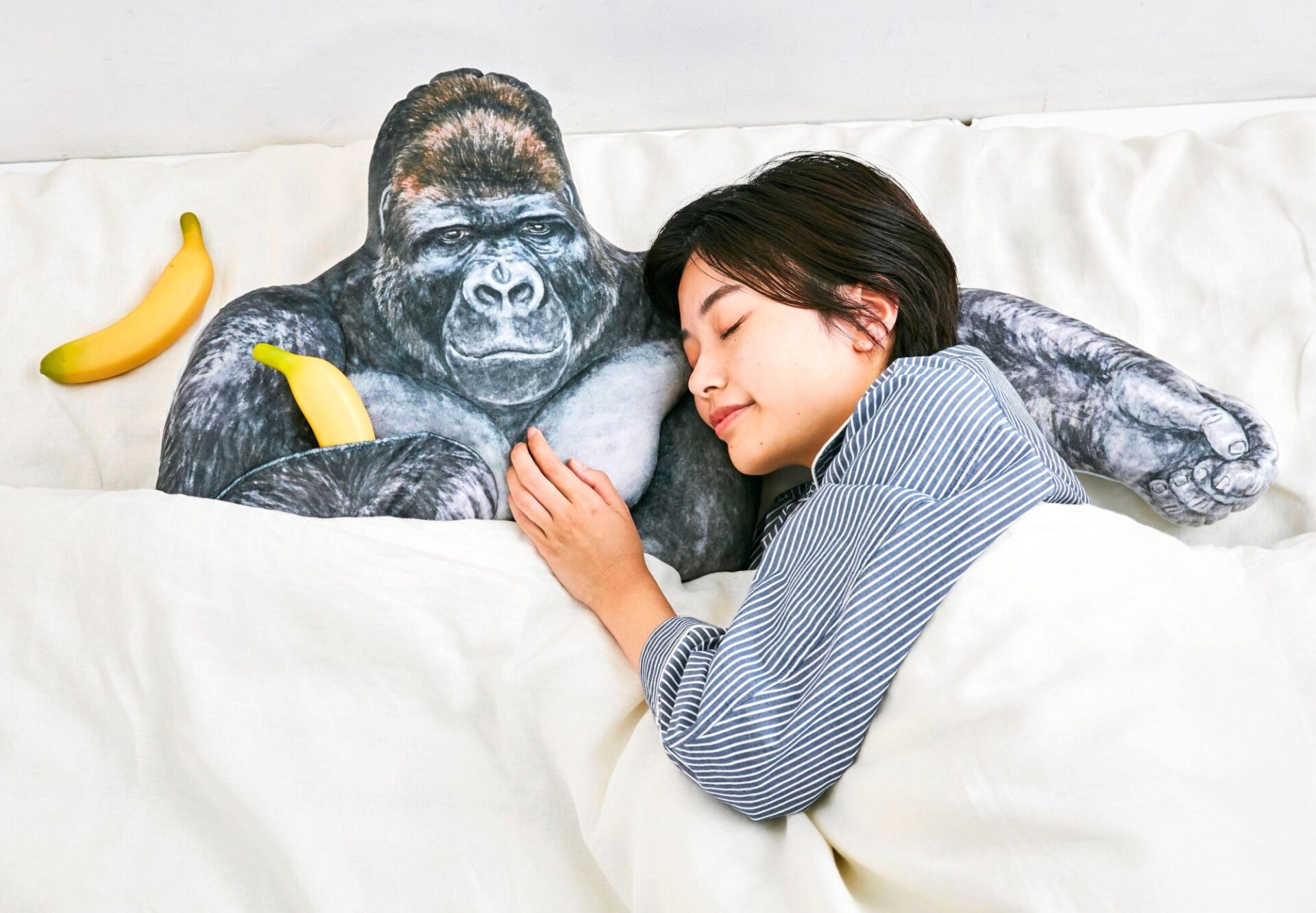 Japan's Unexpected Heartthrob: A Handsome Gorilla Who Women Swoon Over ...