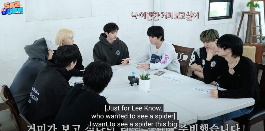 Stray Kids Han’s Reaction To A Spider Is Absolutely Priceless - Koreaboo