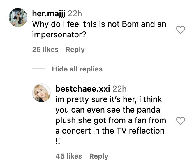 2NE1 Park Bom's Sexiest Nude-Toned Lingerie Pic Reveals Never-Before ...