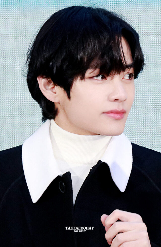 BTS V's "Little Sister" Has A Real Older Brother — And He's A Model ...