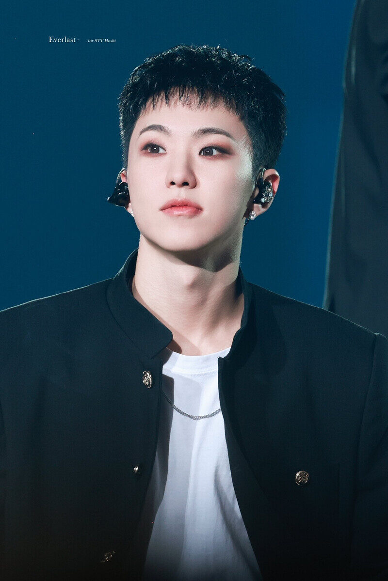 K-Pop Idol Exposes Intimate Details Of Rumored Romance With SEVENTEEN's Hoshi, Angering Fans ...