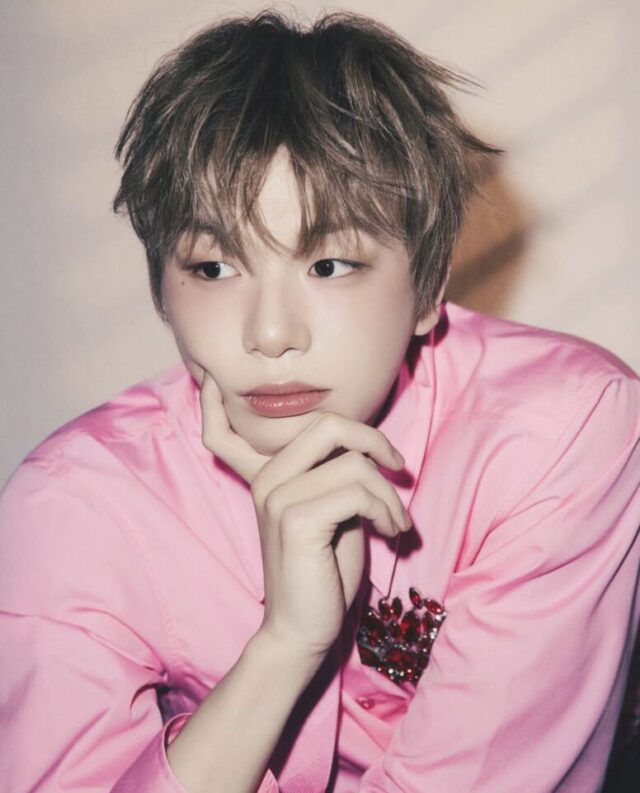 What The Members Of Wanna One Are Up To As Of 2025 - Koreaboo