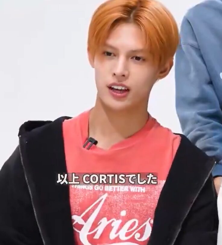 HYBE Group CORTIS's James Accused Of Cosmetic Procedure - Koreaboo