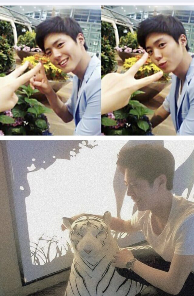 Park Bo Gum's Pre-Debut Dating Era Pictures Go Viral - Koreaboo