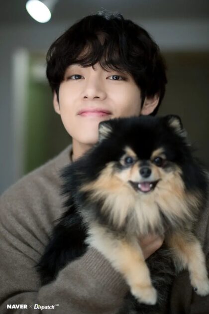 BTS's Cutest Pets Of All Time, Ranked - Koreaboo