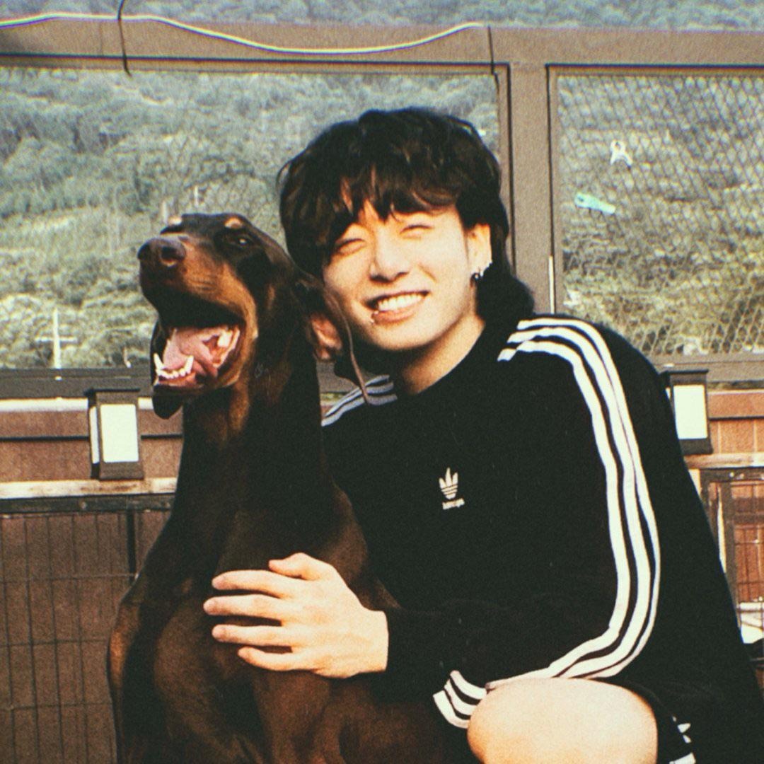 BTS's Cutest Pets Of All Time, Ranked - Koreaboo
