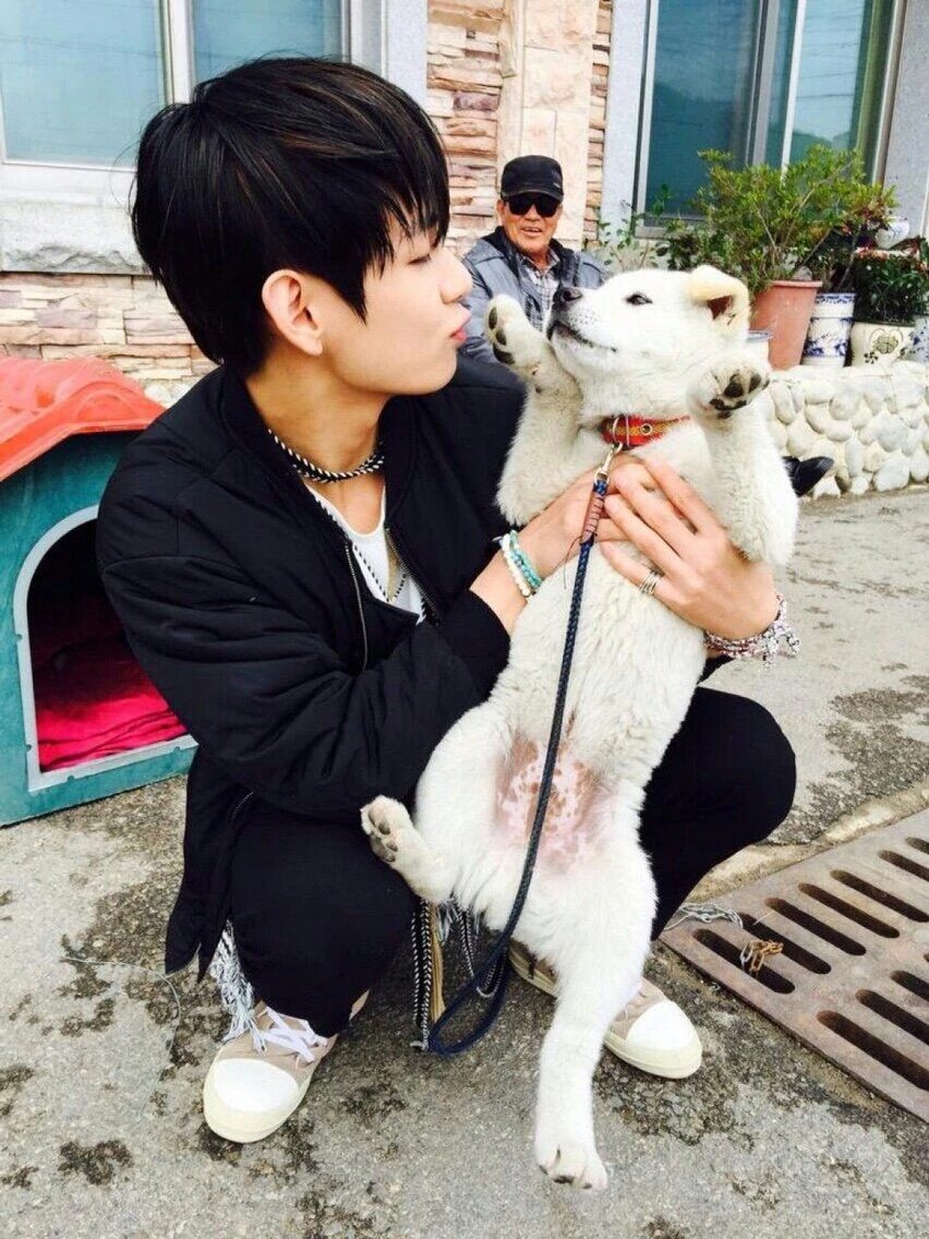 BTS's Cutest Pets Of All Time, Ranked - Koreaboo