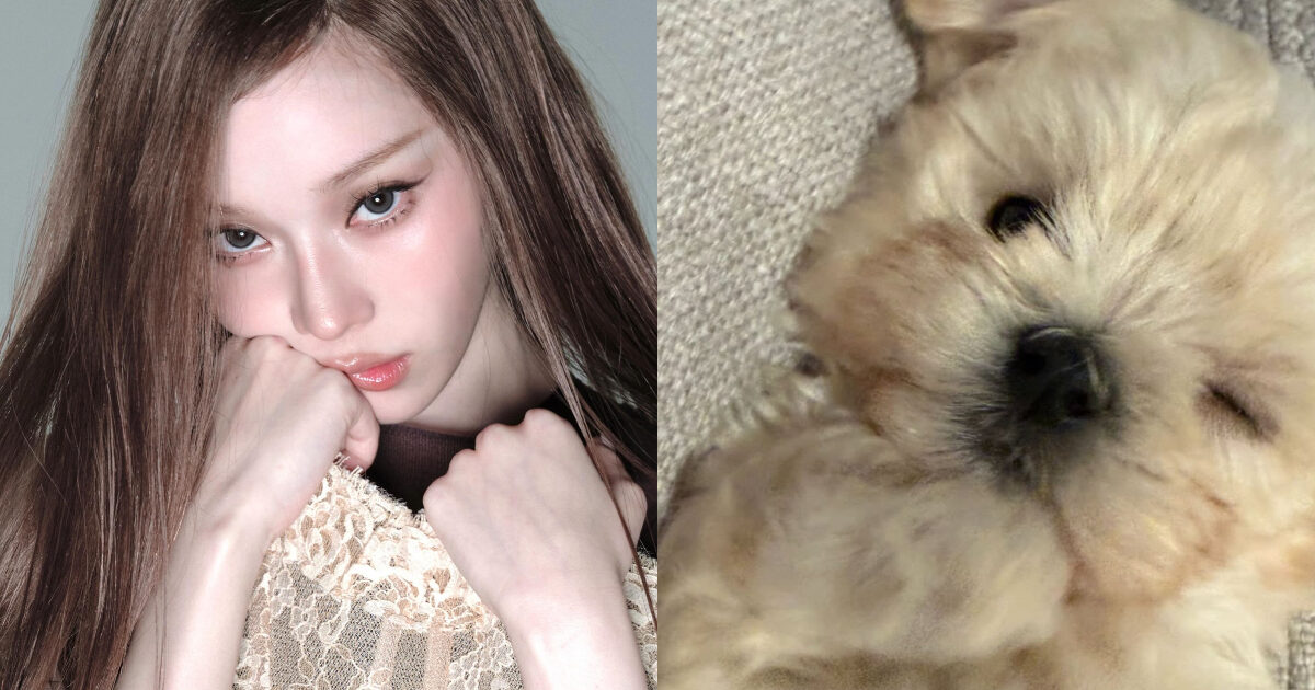 aespa's Winter Addresses Pet Shop Adoption Accusations - Koreaboo